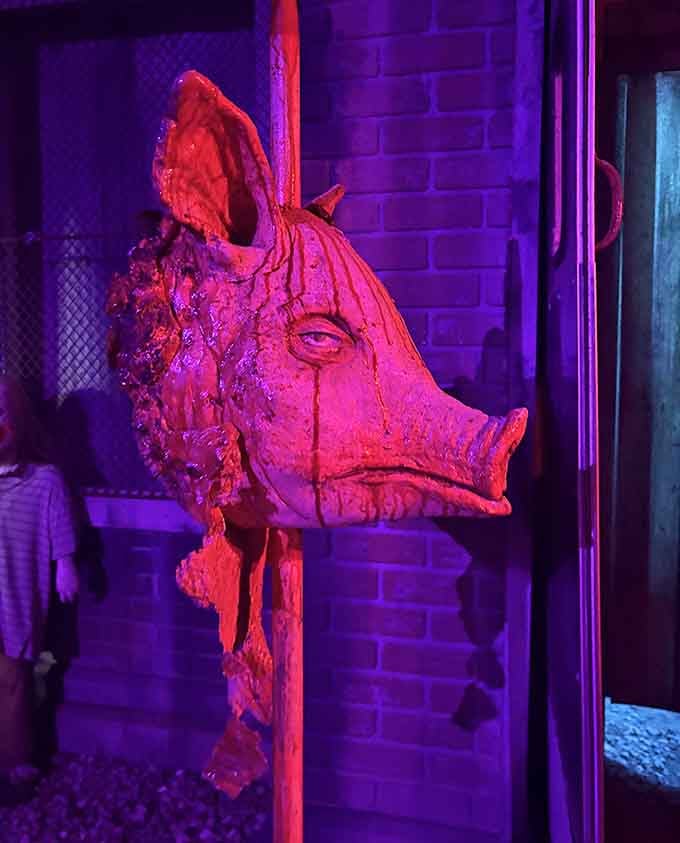 That pig's head mounted on the wall suggests someone took "farm to table" in a deeply disturbing and unappetizing direction.