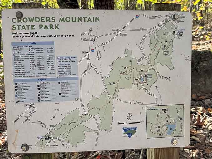 Trail maps guide your adventure, though getting slightly lost adds character to any good hiking story later.