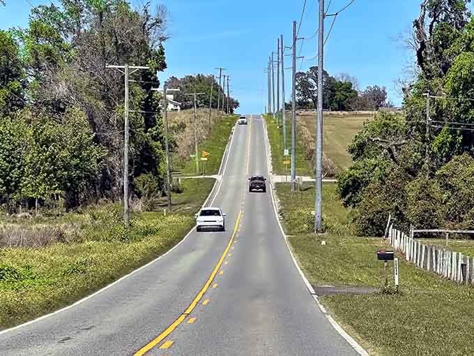 These rolling hills remind you that Florida isn't all flat beaches and retirement communities after all.