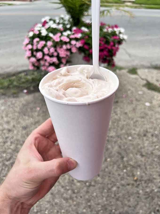 The s'mores flurry brings campfire nostalgia without the smoke in your eyes or mosquitoes dive-bombing your marshmallows.