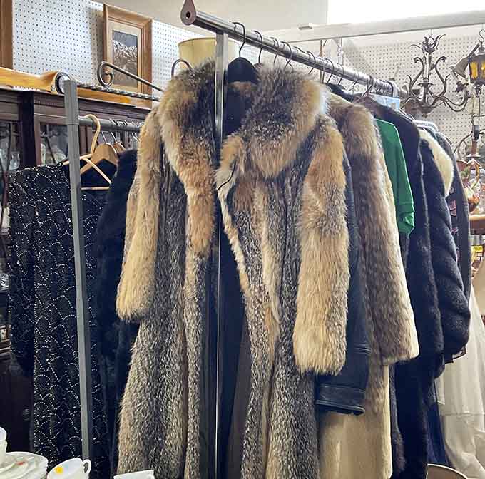 That luxurious fur coat hangs like it's ready for opening night at the opera, channeling serious Old Hollywood glamour.