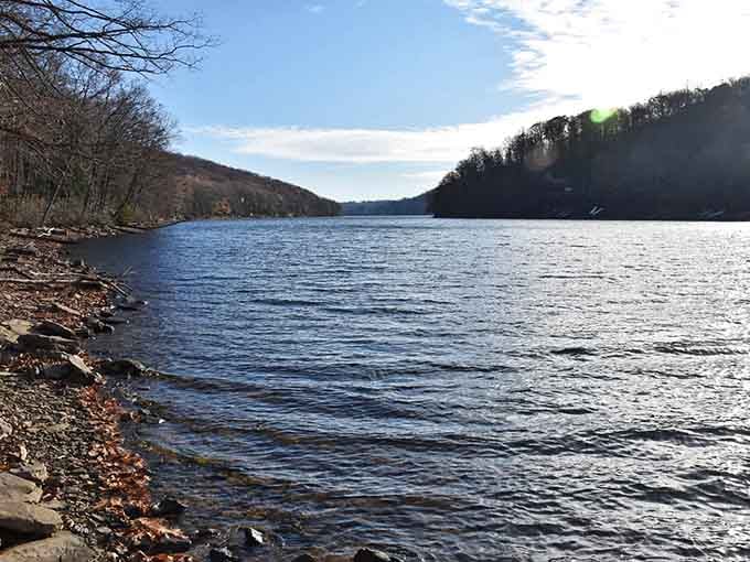 Winter's bare trees frame the lake like a perfectly composed photograph you didn't even try for.