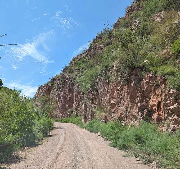 Nature trails near Douglas offer scenery so stunning you'll forget to complain about the heat for five whole minutes.