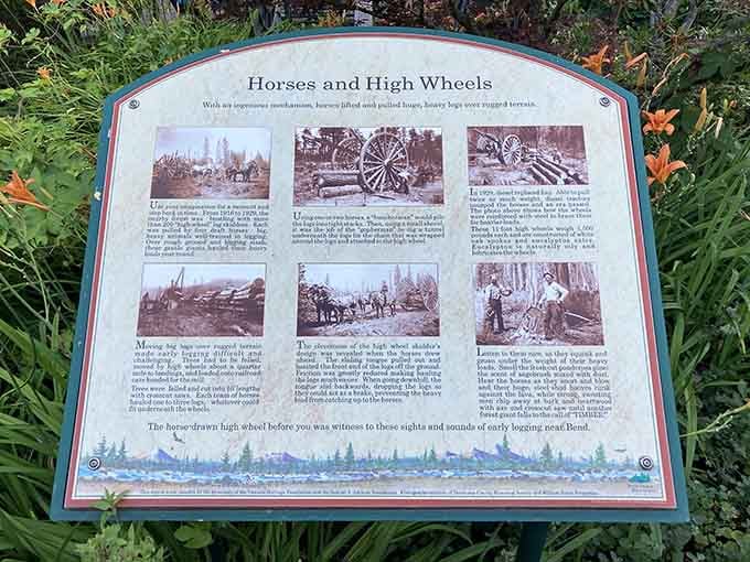 Historical markers share stories of horses and high wheels, connecting today's strollers to yesterday's loggers with surprising charm.