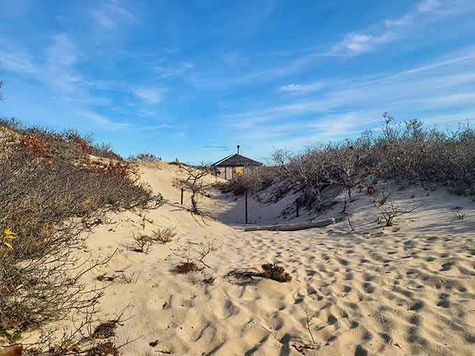 That little shack nestled in the dunes looks like someone's very committed attempt at off-grid living.