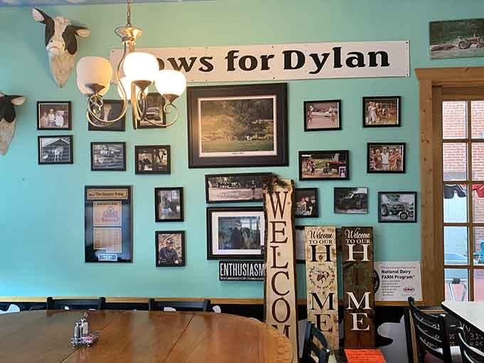 The wall gallery celebrates dairy farming heritage with photos that tell Cornell's story better than any history book.