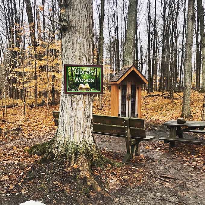 A little free library in the woods because apparently some places still believe in sharing and community spirit.