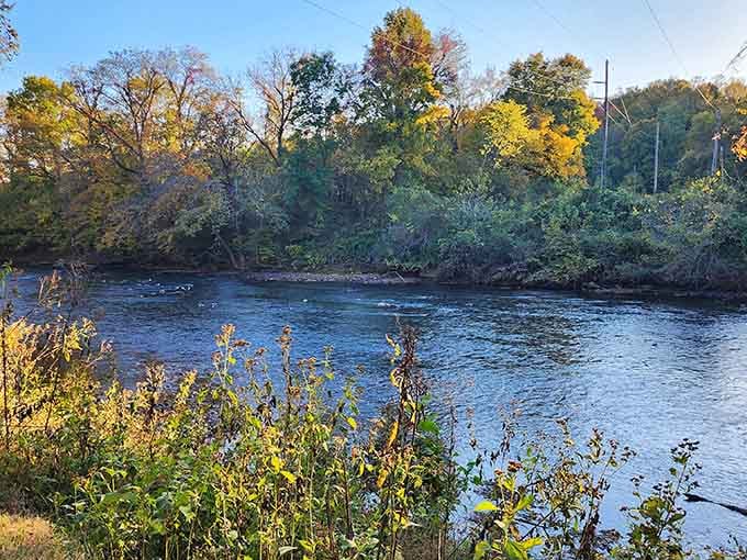 Golden autumn light dances across the river where nature puts on a free show daily, no subscription required.