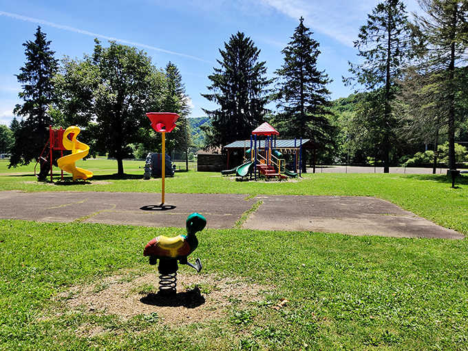 Playground equipment and picnic pavilions create the perfect setup for family gatherings that don't require WiFi passwords.