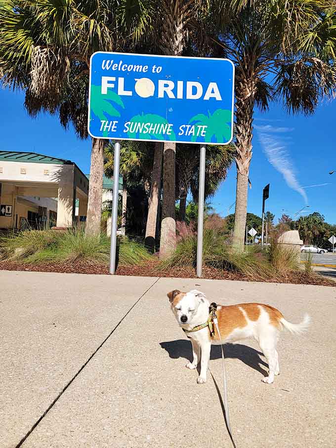 Even the dogs understand that this sign means they're back where flip-flops are year-round footwear.