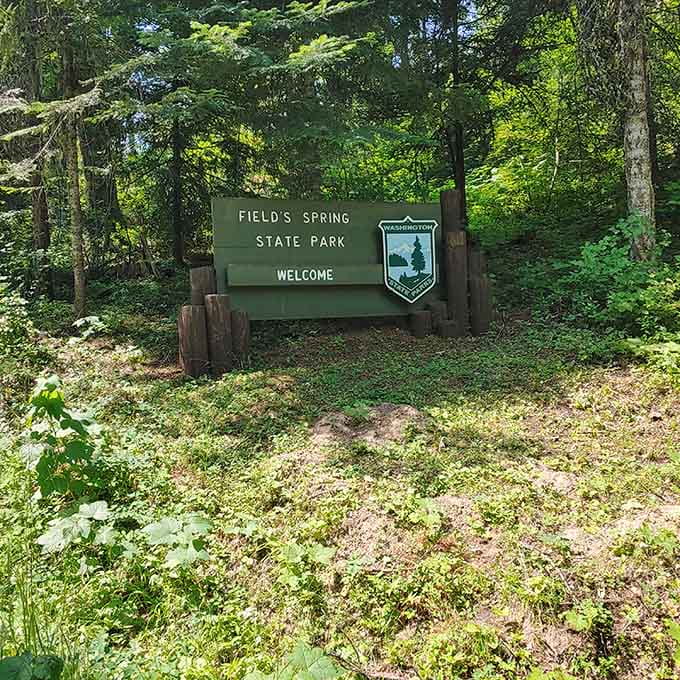 Welcome to the park that's been keeping this corner of Washington gorgeous since forever.