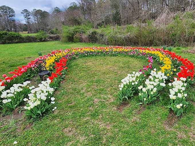 A rainbow-shaped flower bed that's almost too whimsical to be real, yet here it gloriously exists in Georgia.