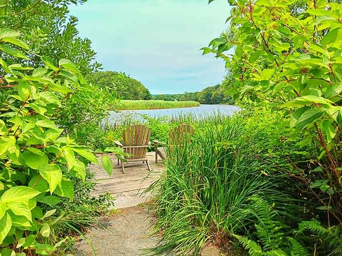 Find your spot by the Lieutenant River and suddenly you understand why painters never wanted to leave.