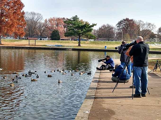 Families gather at Saint Ferdinand Park where ducks are friendly and fishing doesn't require expensive gear.