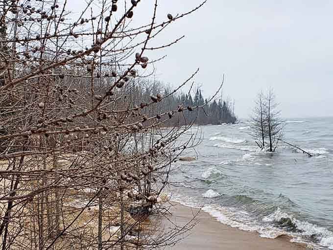 The off-season coastline proves that Negwegon's beauty doesn't need sunshine and warm weather to make an impression on visitors.