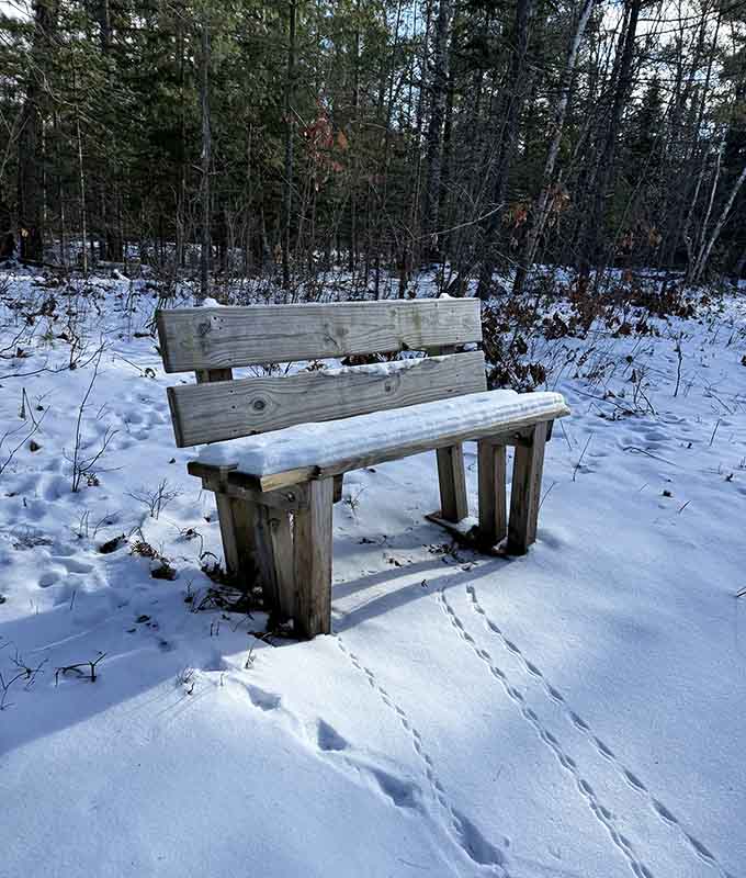This snow-dusted bench offers the perfect spot for contemplating life's big questions in peaceful solitude.