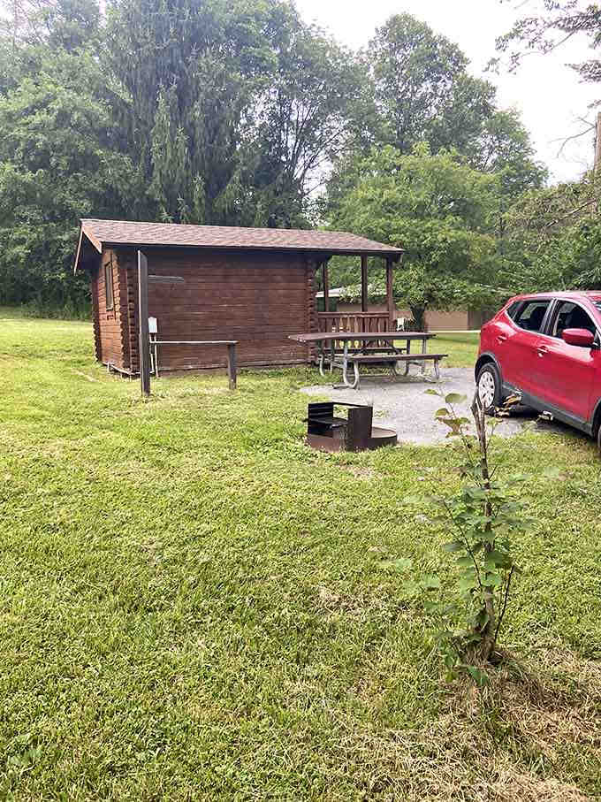 These cozy cabins let you experience nature without completely abandoning the concept of walls and roofs.