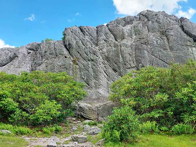 Dramatic cliffs rising from rhododendron thickets, where geology puts on its most impressive show.