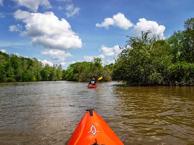Kayaking the Oconee River offers peaceful paddling through scenery that makes you wonder why you ever needed a gym membership.