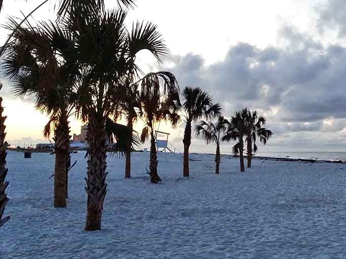 Sunset silhouettes of palms against the Gulf create those Instagram moments that make everyone jealous.
