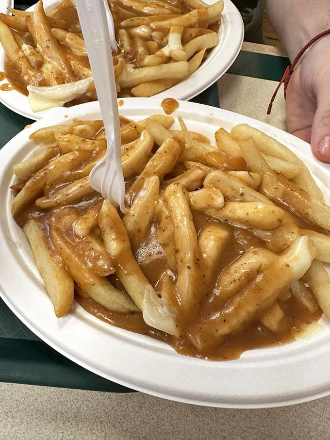 French fries swimming in gravy like they're at the world's most delicious pool party you definitely want invited to.