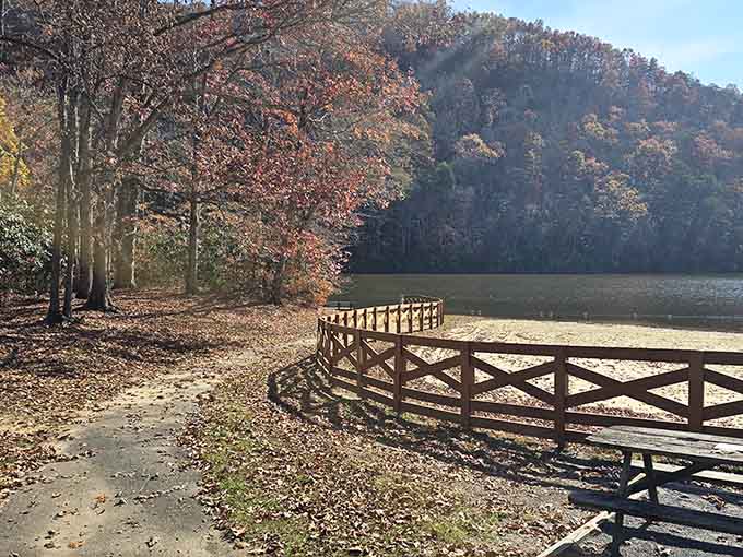 The wooden fence frames a view so perfect it belongs on a jigsaw puzzle box cover.