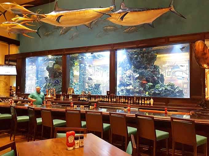 Belly up to this bar with aquarium views and suddenly your cocktail hour just got infinitely more interesting to watch.