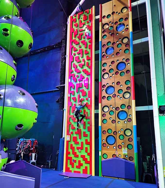 These climbing walls come in designer colors because even your workout should have some aesthetic appeal, apparently.