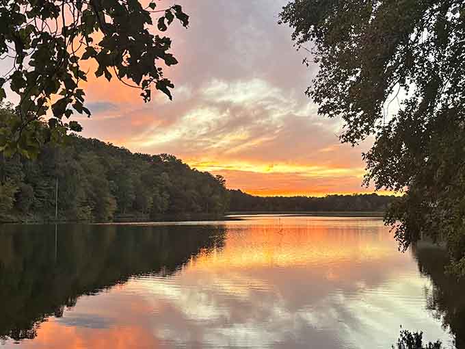 Sunsets like this remind you why humans have been staring at horizons since we figured out standing.