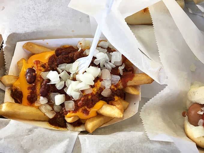 Chili cheese fries topped with onions, because sometimes you need comfort food that doesn't apologize for anything at all.