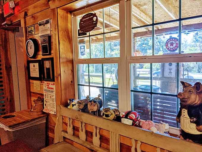 Pig figurines lined up in the window suggest someone here has both a sense of humor and serious pork pride.