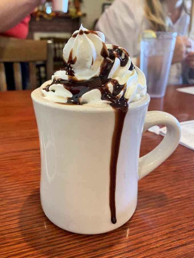 Whipped cream and chocolate drizzle transform regular hot chocolate into something that belongs in a Norman Rockwell painting of happiness.