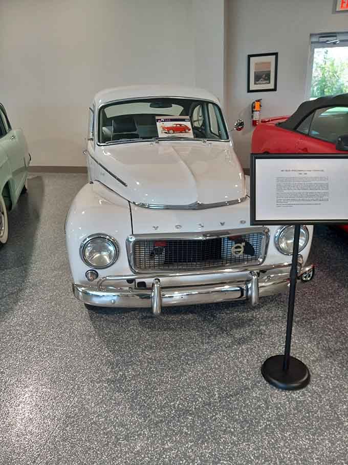 Swedish engineering meets timeless design in this pristine example of Scandinavian automotive excellence from 1961.