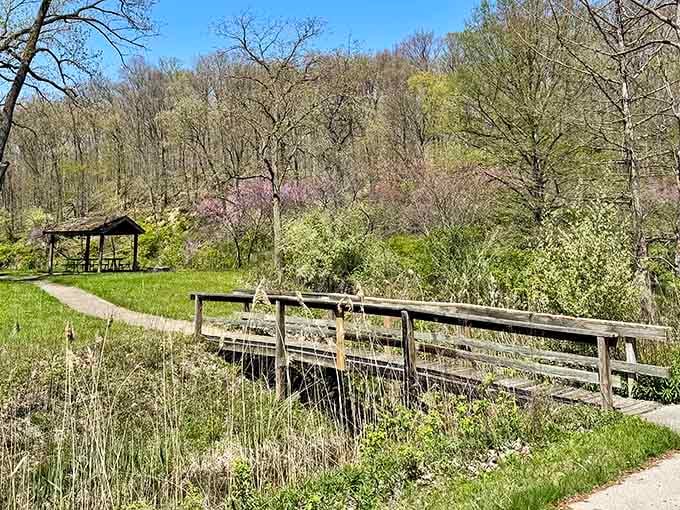 Wooden bridges connect you to wilder places, each step taking you further from everyday worries and stress.