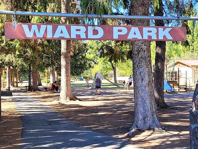 Wiard Park: where families gather under towering pines without needing reservations or admission fees.