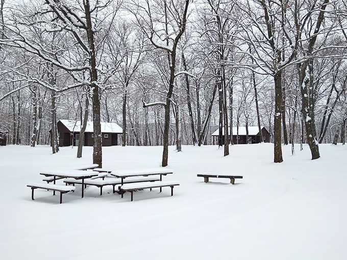 Winter transforms the park into a Narnia situation, but with better amenities and significantly fewer talking lions to worry about.