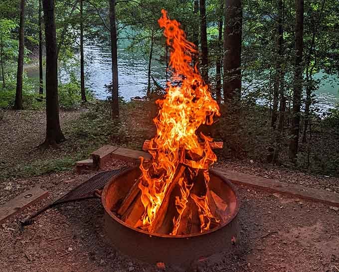 A proper campfire makes everything taste better and every story more interesting, scientific fact or close enough.