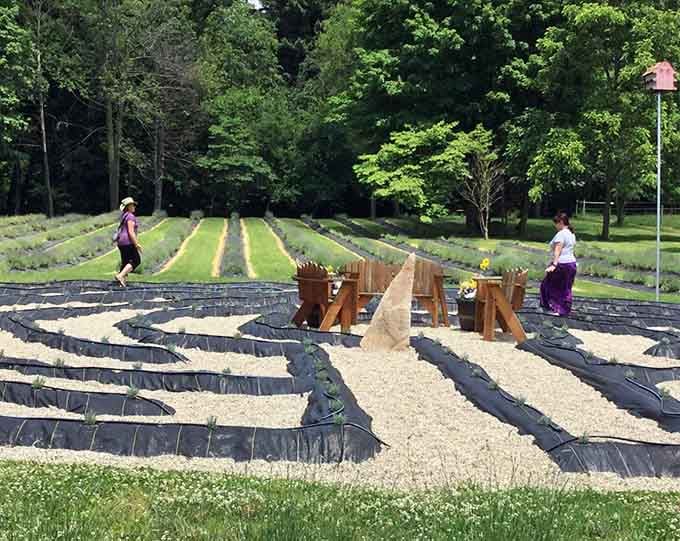 A peaceful labyrinth pathway invites contemplation, meditation, or just pretending you're solving an ancient mystery.