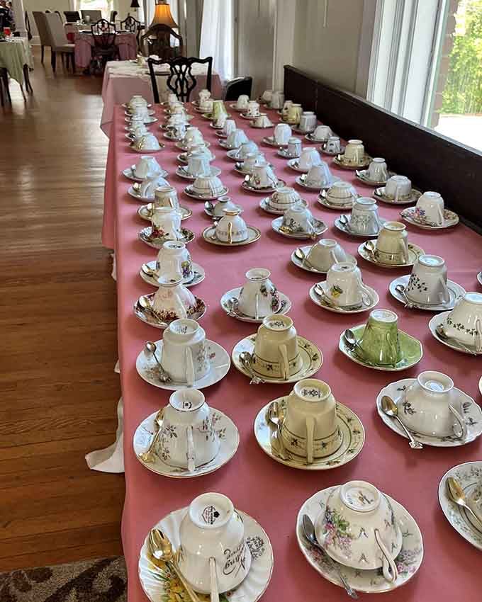 Each unique teacup tells its own story, making choosing yours half the fun of the entire experience.