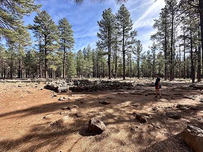 The collapsed section reveals the tube's massive scale, a reminder of the powerful forces that shaped this place.