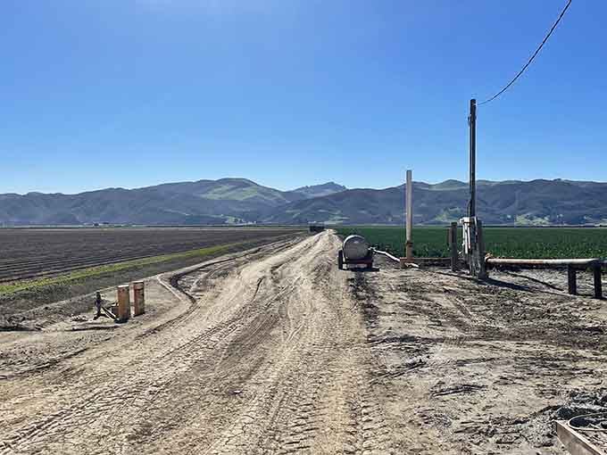 The dirt roads leading to the fields are part of the adventure, rustic and real.