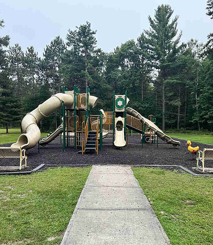 A playground that doesn't need bells and whistles, just slides and swings surrounded by the best backyard imaginable.