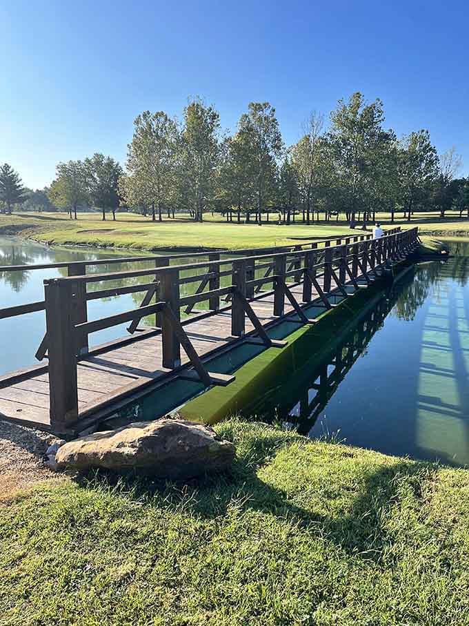 Bridges connect more than just land; they link past to present in the most photogenic way.