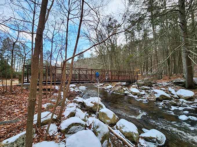 Even winter can't diminish the charm of a good bridge over moving water and snow-dusted rocks.
