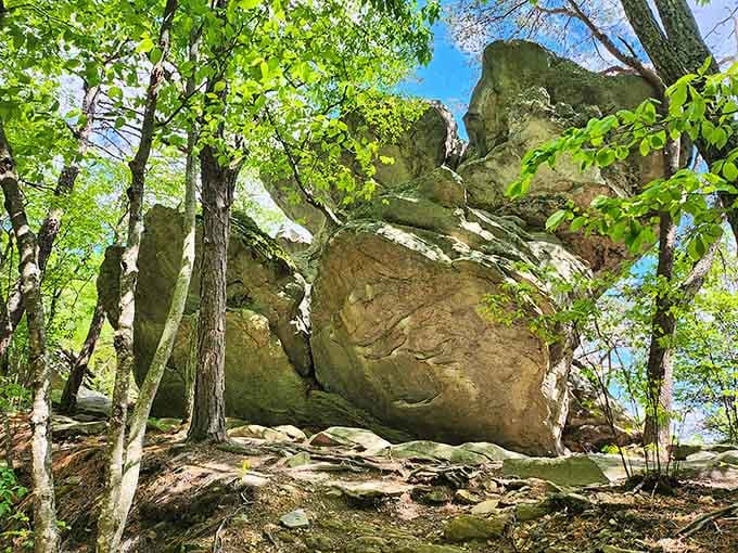 Massive boulders along the trail remind you that geology is basically nature showing off its artistic side spectacularly.