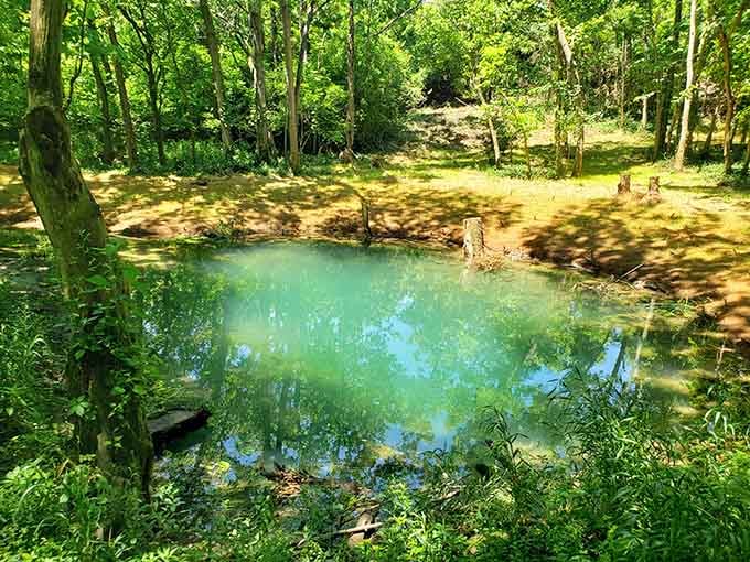 This turquoise spring water has been doing its thing for centuries, proving good things never go out of style.