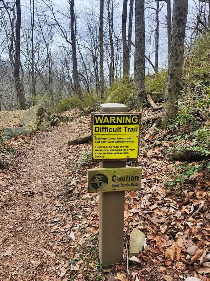 Fair warning: this trail means business, but it's the good kind of challenge that makes the post-hike meal taste even better.