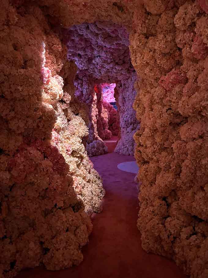 Navigate through coral-like passages where every turn reveals another explosion of vibrant, shifting hues.