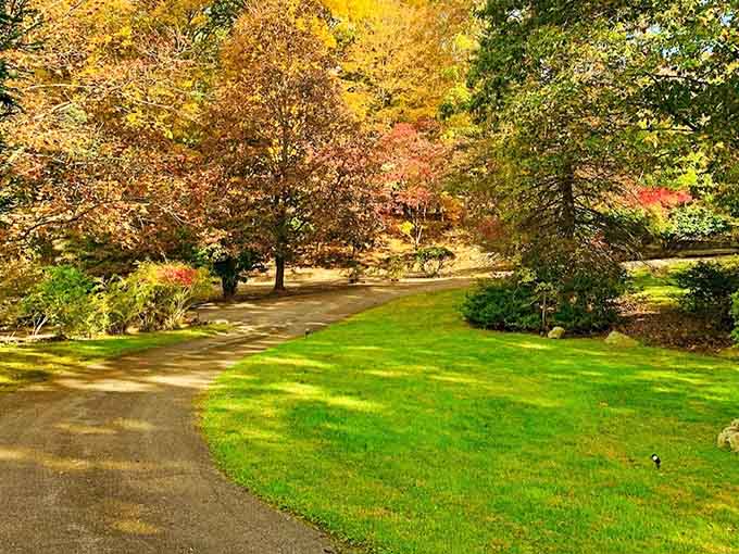 A winding path through manicured grounds proves the park offers both wild forest and civilized beauty in equal measure.