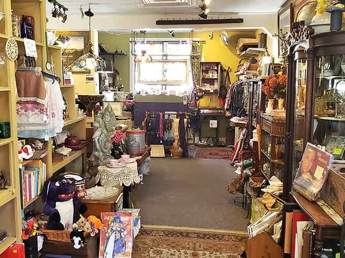 Inside this vintage shop, organized chaos reigns supreme, where every shelf holds potential discoveries waiting for their next adventure with you.